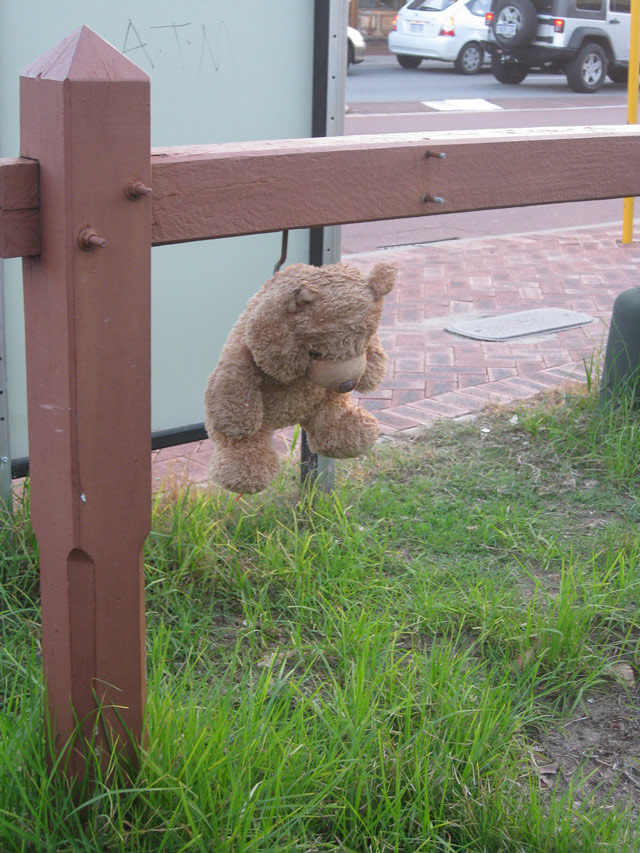 Dead Ted | The Worst of Perth