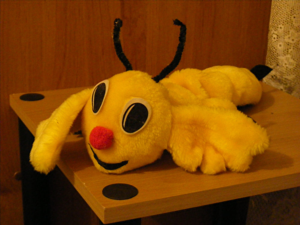 Sunny Sandgroper | The Worst of Perth