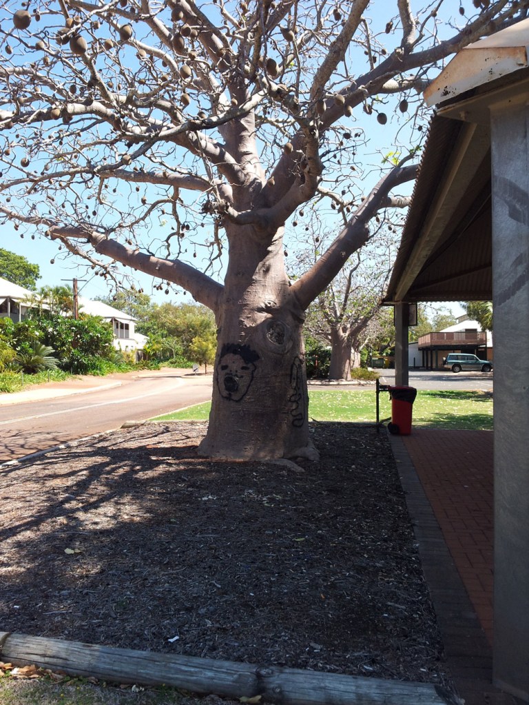 Boab | The Worst of Perth