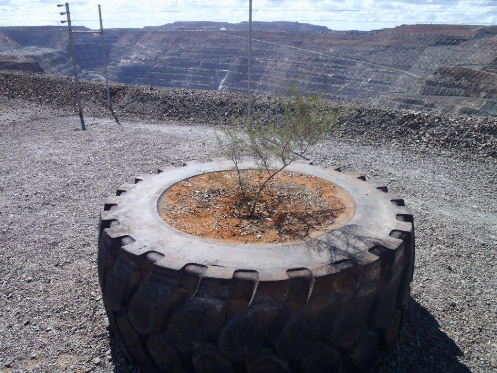 Sign Power | The Worst of Perth