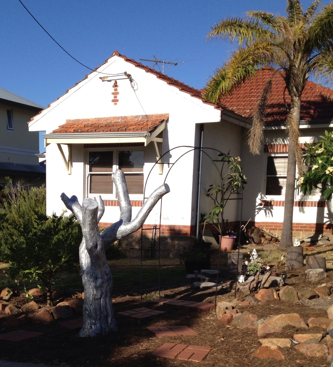 Silver Birch | The Worst of Perth