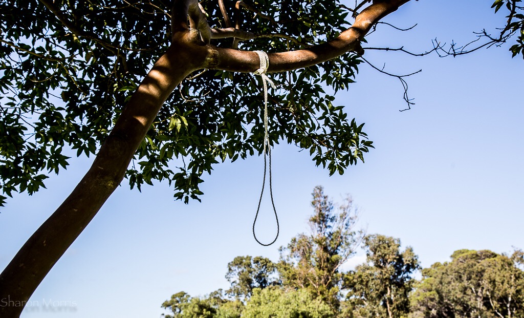 Yikes | The Worst of Perth